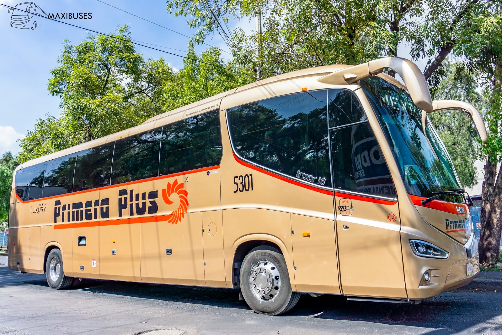 MAXIBUSES: PRIMERA PLUS