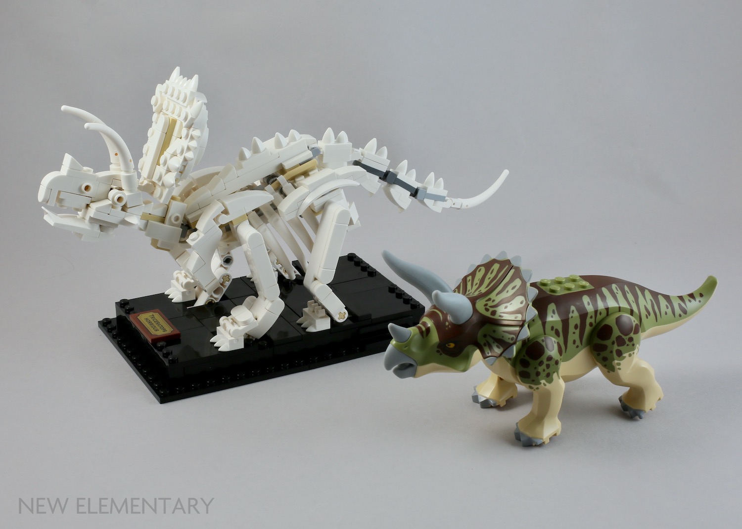 LEGO® Ideas review: 21320 Dinosaur Fossils | New Elementary: LEGO ...