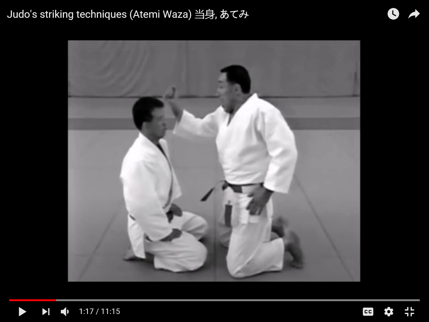Isshin - Concentration the Art: Judo's striking techniques (Atemi Waza ...