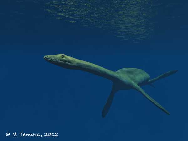 Los animales en la prehistoria: junio 2013