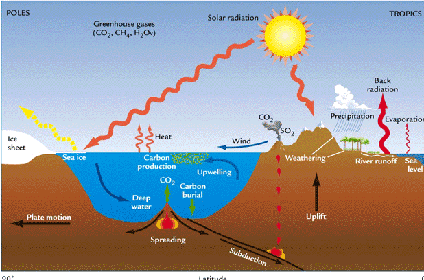 Oceans Introduction: Oceans and carbon