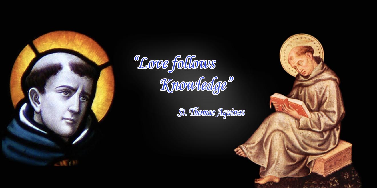 NGƯỜI LỮ HÀNH HY VỌNG: JANUARY 28, 2020 : MEMORIAL OF SAINT THOMAS ...