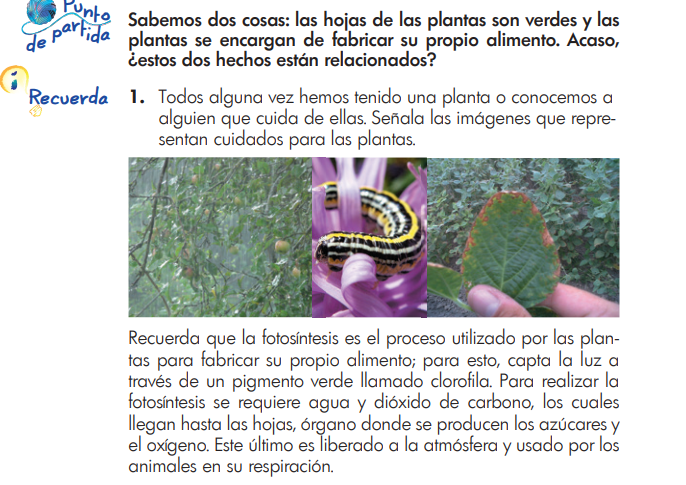 I.E.EUDORO GRANADA : CIENCIAS NATURALES