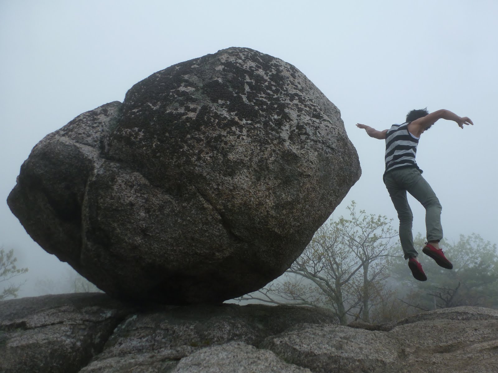 Shenandoah Mountain Guides: May 2012