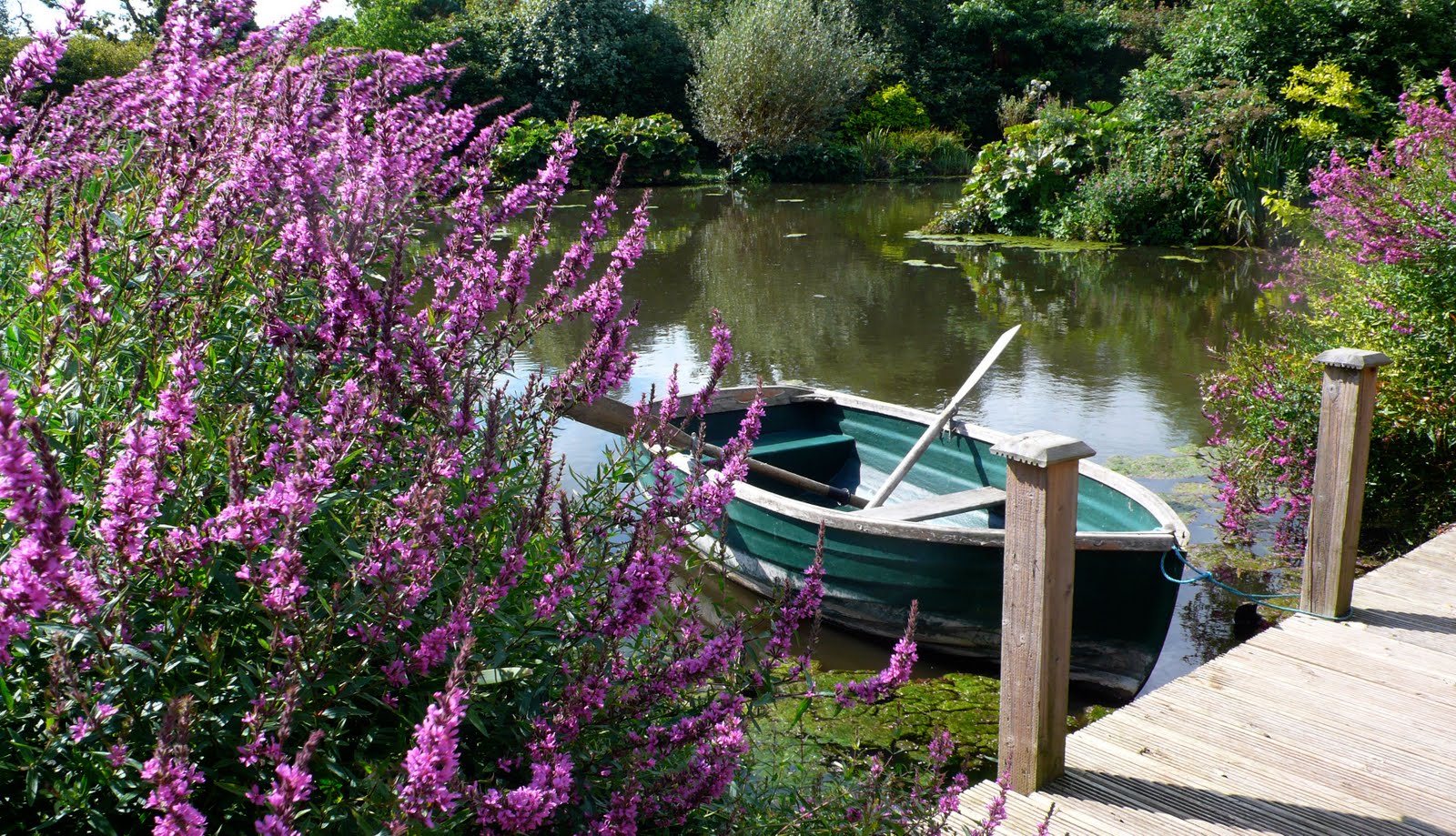 Share my Garden: Lady Farm