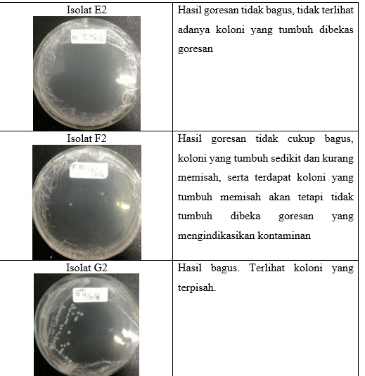 Laporan Isolasi Bakteri