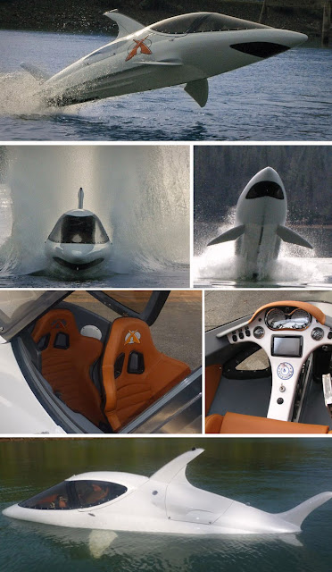 Amazing Innespace Seabreachers - PICXACT - "Amazing Findings imageblog"