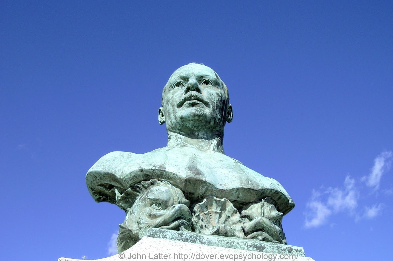 Dover Coronavirus Lockdown Blog UK: 1/2 First Covid-19 Lockdown Cycle ...