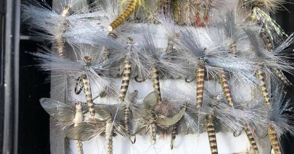 The Gray Drake mayfly hatch is here!...come experience this amazing big ...