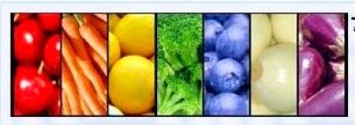 ELIKO HAAK : TRENN - TERVIS - LAPSED: VIKERKAARE VÄRVID TOIDULAUAL