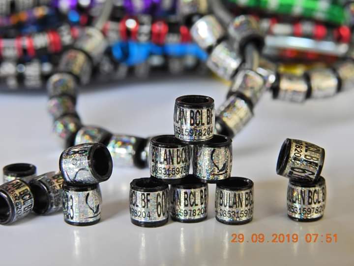 Jual Ring Burung | Jasa Pembuatan Ring Burung Paling Murah [Garansi]