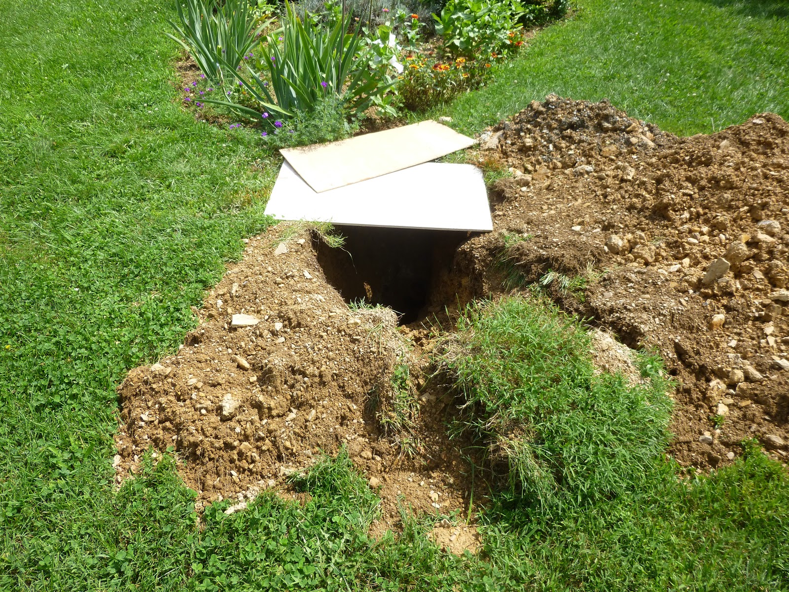 Septic Tank Problems