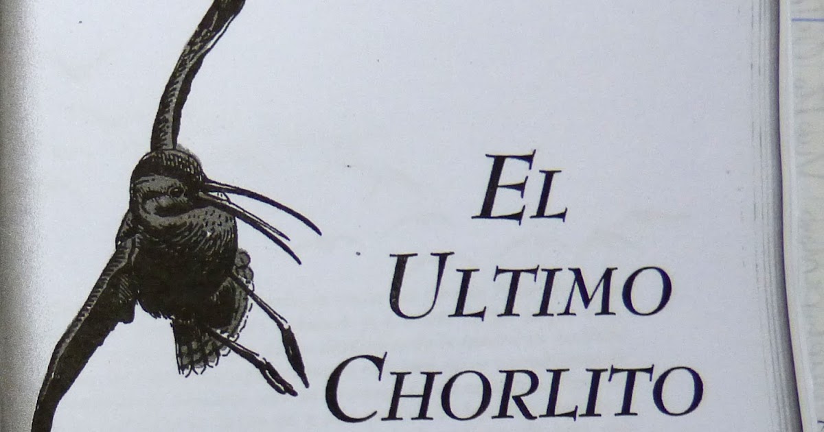 NO SIN MIS PRISMÁTICOS: "EL ÚLTIMO CHORLITO" Fred Bodsworth