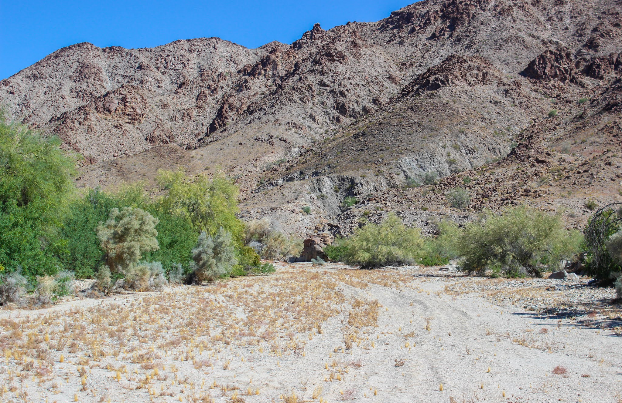 Cannundrums: Corn Springs