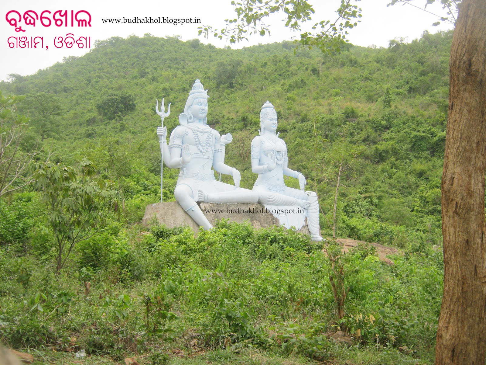 Statue of Lord Shiva and Pravati | BUDHAKHOLA Temple | Ganjam | Odisha.