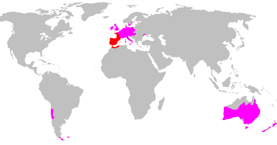 Abe's Animals: Native (red) and introduced (purple) range of the ...