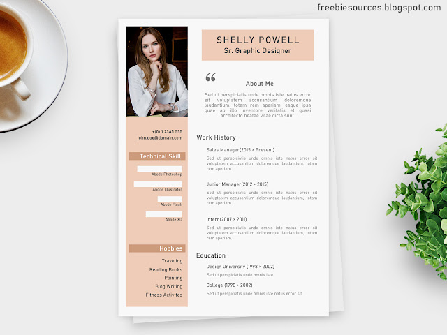 Professional Resume Design Template Free Download for Females ...