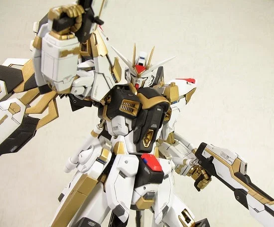 MG 1/100 Strike Freedom Gundam "Custom DRAGOON" - Customized Build