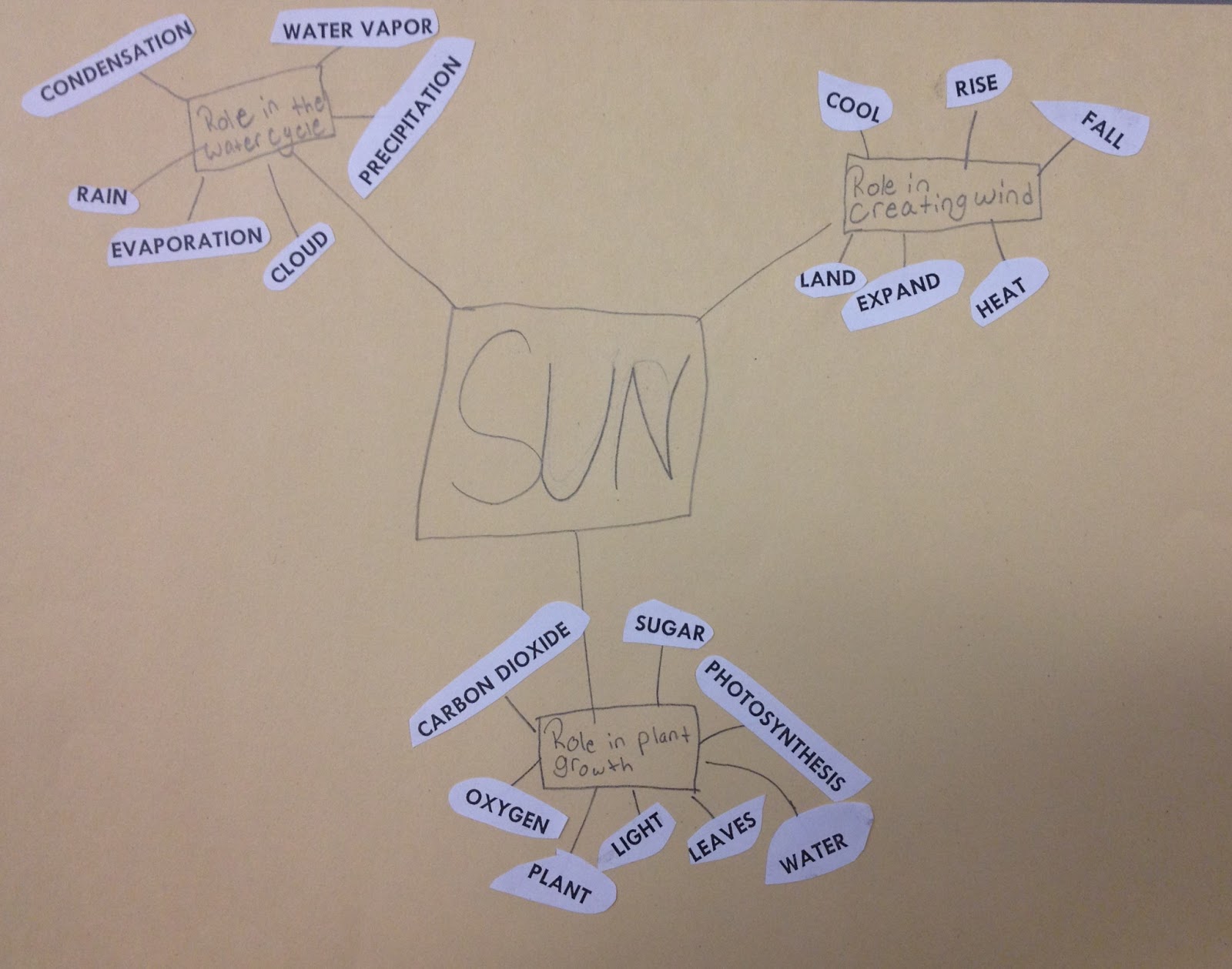 The 4th Grade May-niacs: The Sun's Energy