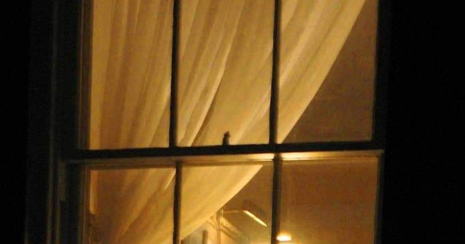 A Light in the Window by Lawrence Ingram