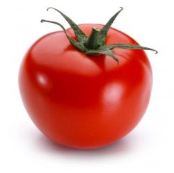 Fresh Garden News: Growing the Perfect Tomato