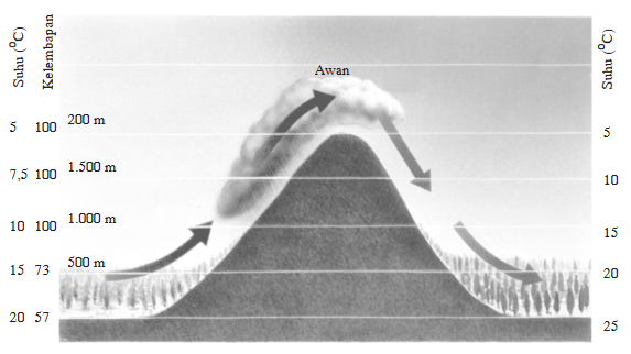Cuaca : Pengertian & Unsur (Suhu/Temperatur, Tekanan Udara, Kelembapan ...