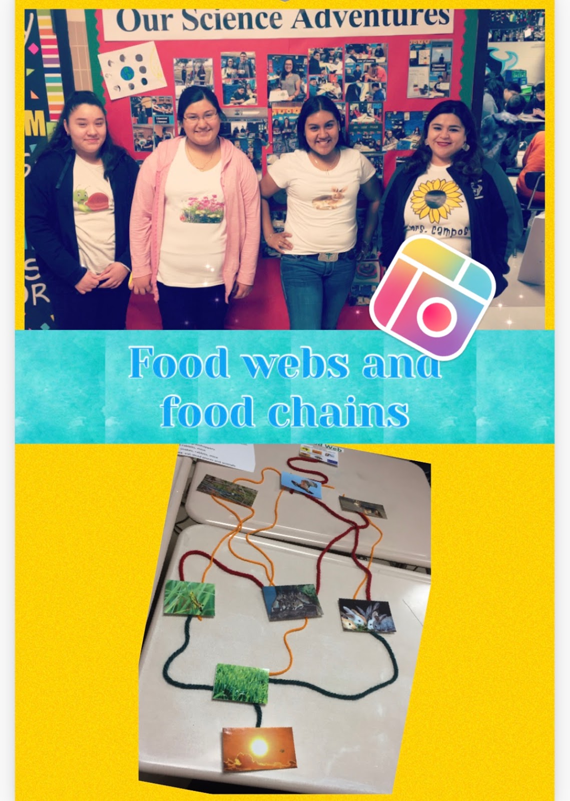 Eagle Pass ISD IVision Food Chain And Food Web eagle-pass-isd-ivision-food-chain-and-food-web