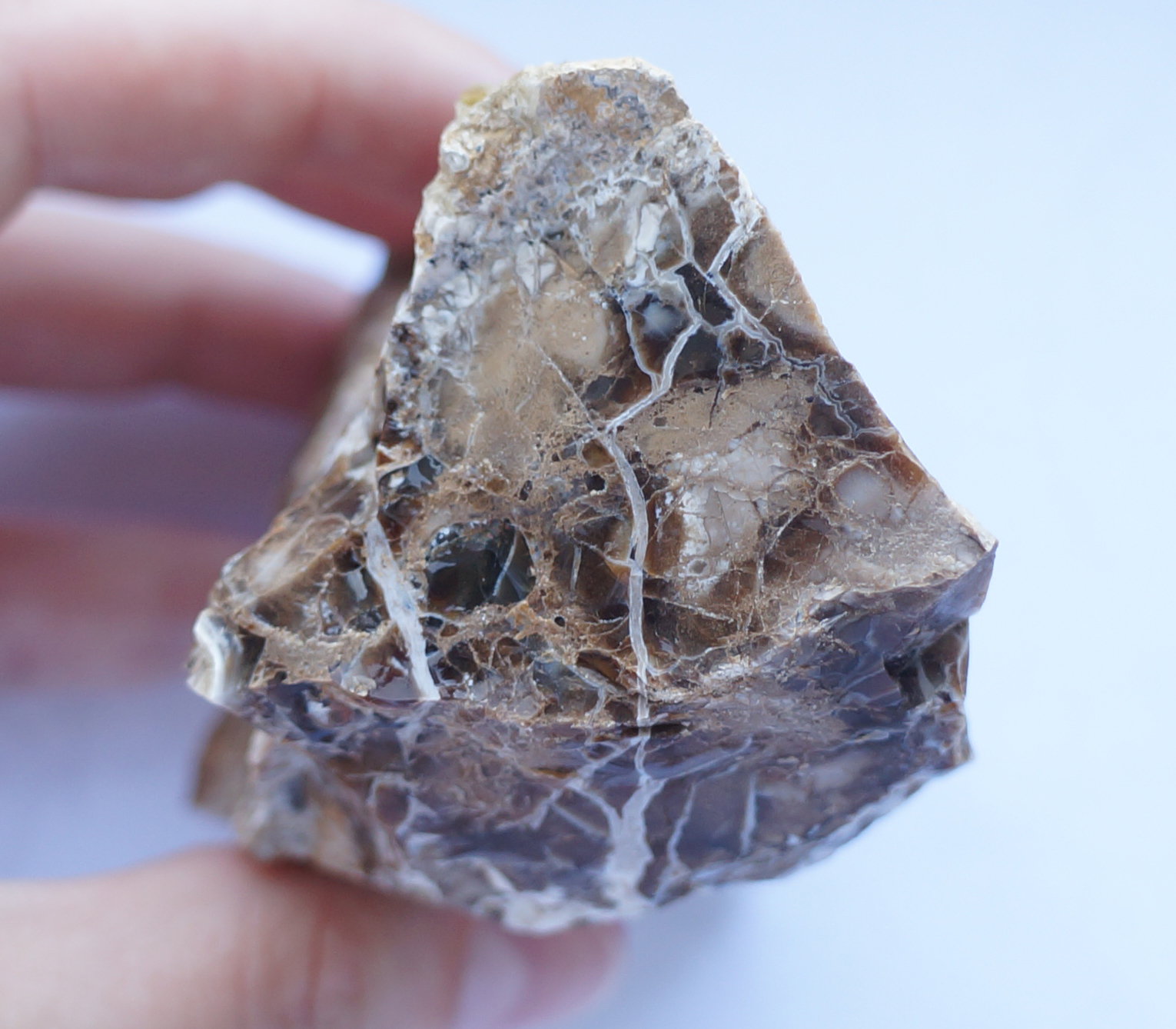 The Rocks Remain: Adventures in Silcrete: "It's flint Jim, but not as ...