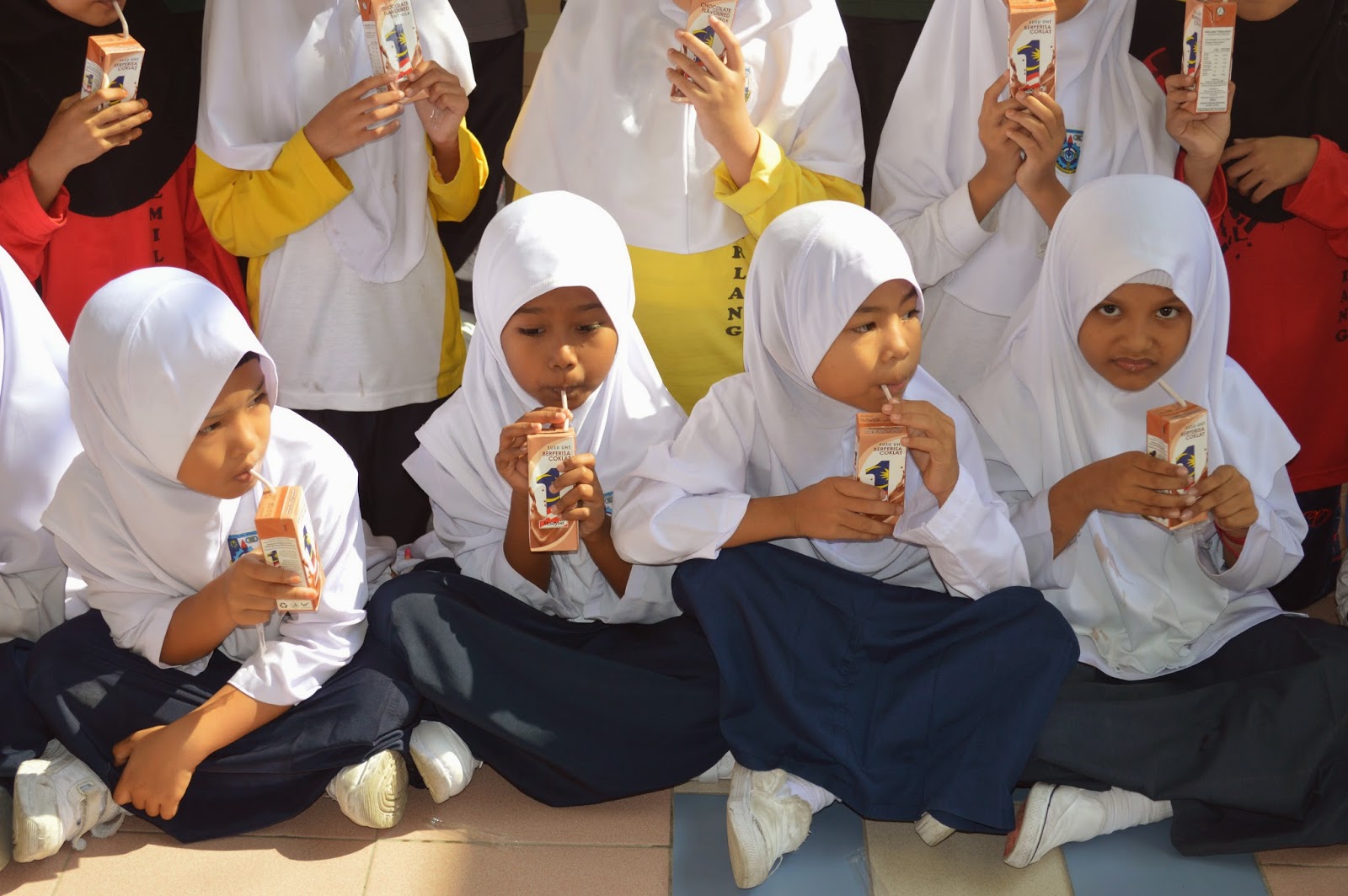 SELAMAT DATANG KE LAMAN MAYA INTERAKSI SKLB: HARI SUSU SEKOLAH SEDUNIA ...