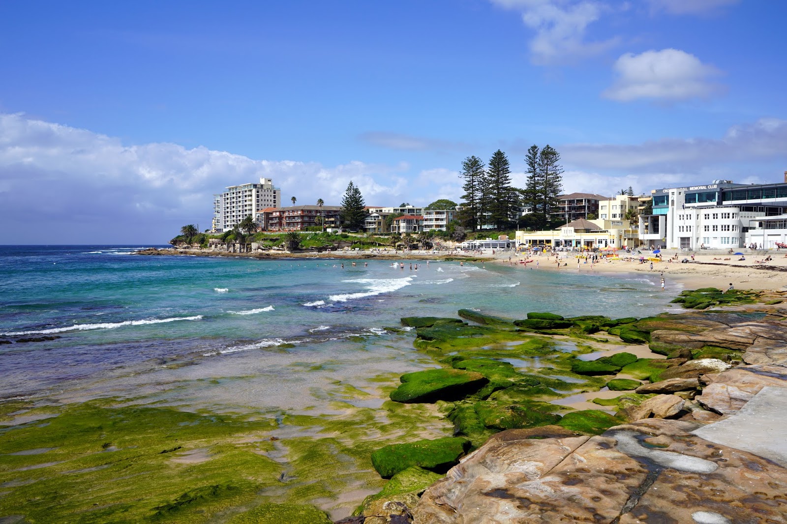 All The Gear But No Idea: Cronulla