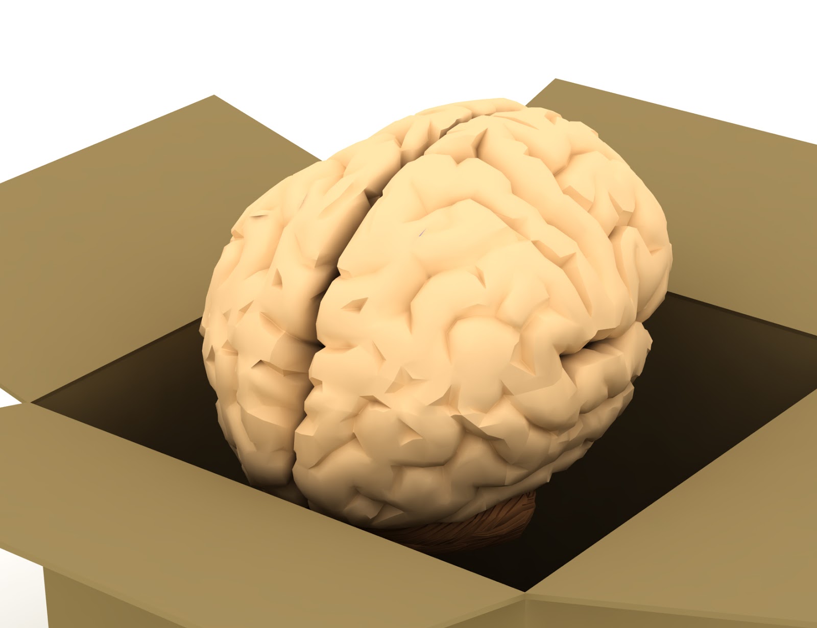 Choroby rzadkie: Bezmózgowie - anencefalia