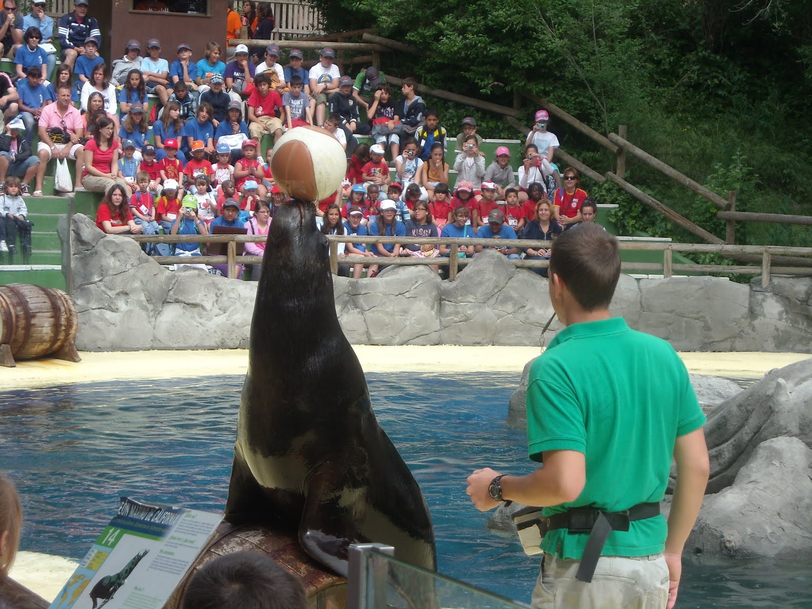 crainfantilsantibáñez: Excursión al Zoo de Madrid.