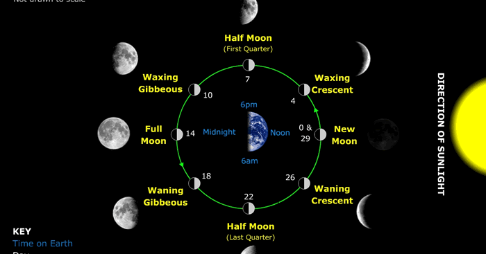Science Today: Monday 5/6/19
