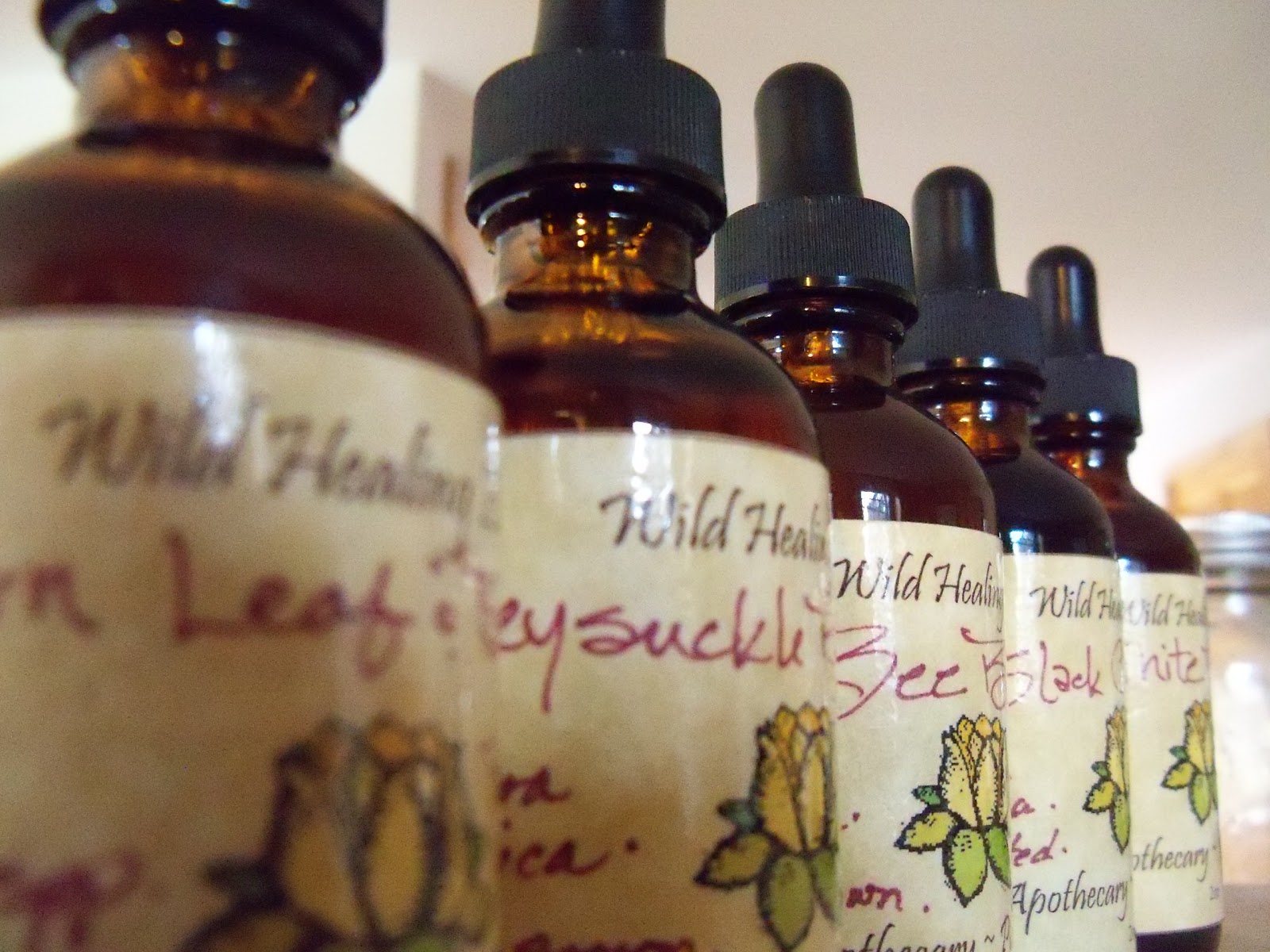 Plant Journeys: ELIXIR GIVEAWAY Contest!