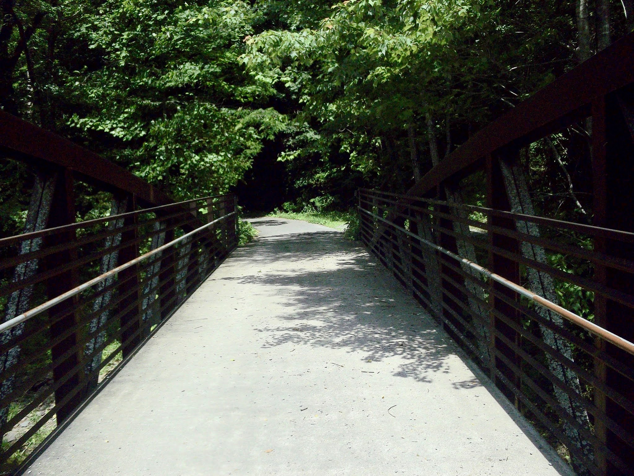 Appalachian Trail Adventures: 2020 - The William Bartram Trail ...