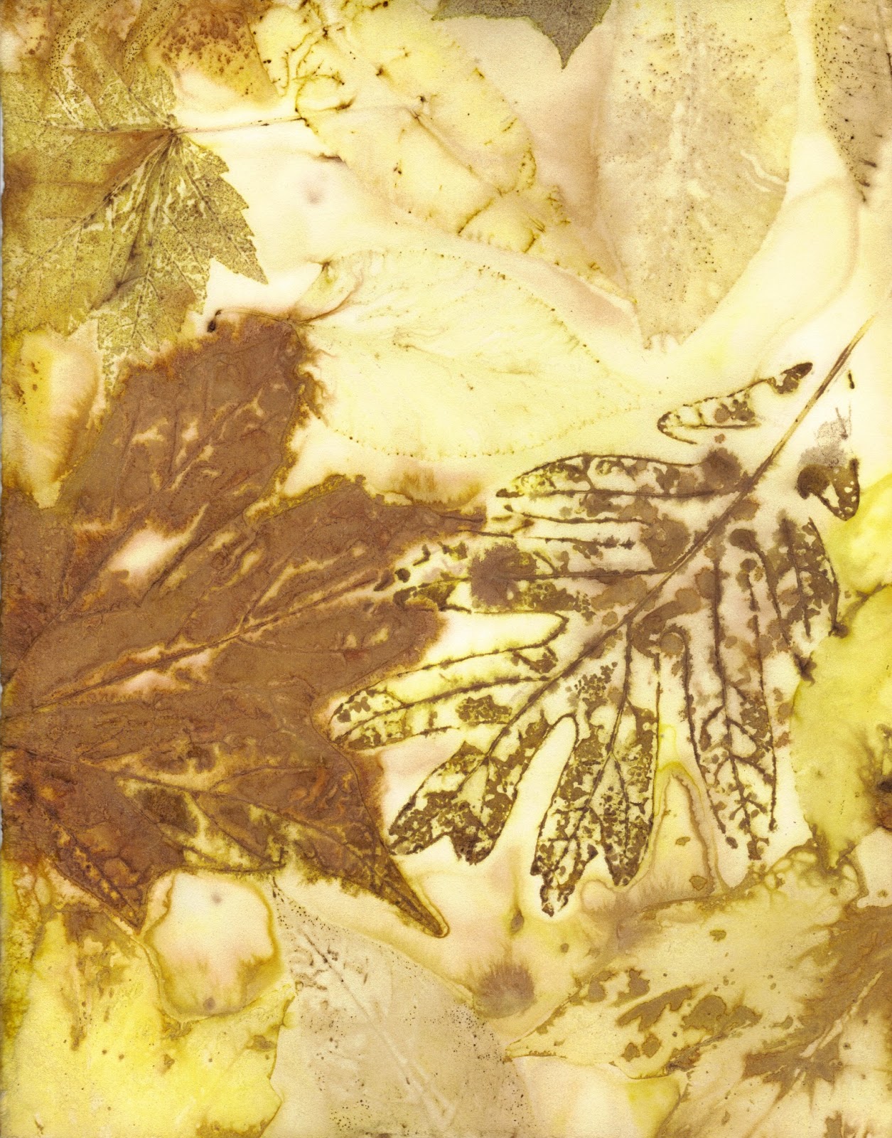 8 that create: Nature's Colors