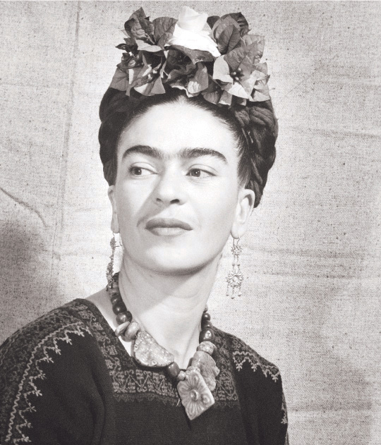 Evolution Revolution: VIVA FRIDA: Part 1