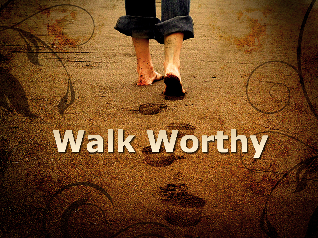 Examining the Epistles