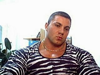 the beauty of male muscle: 2013