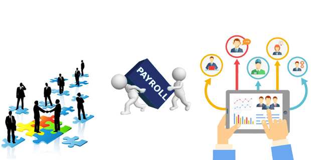 D3 - Digital Data Dimensions: HR & Payroll Software | Human Resource ...