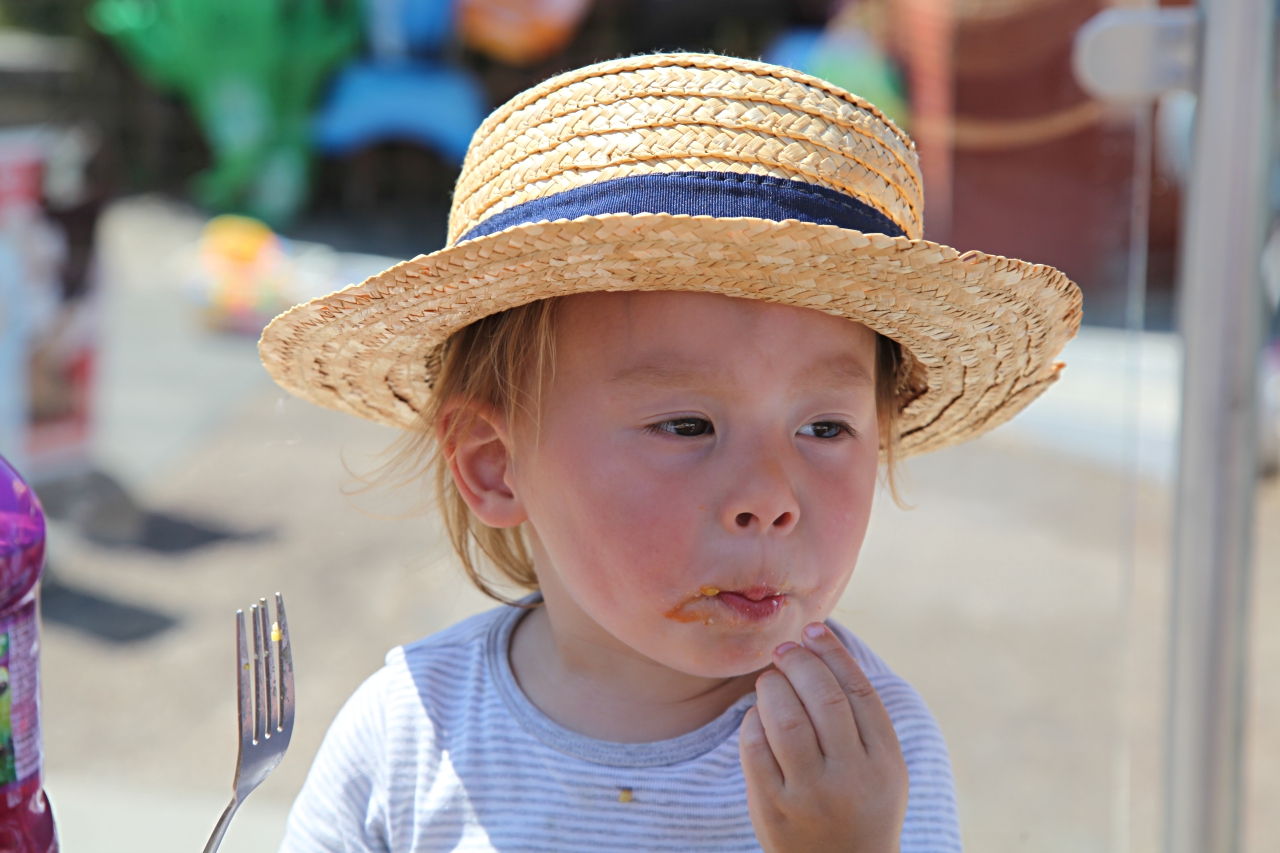 Compton Farm Camping | Journal