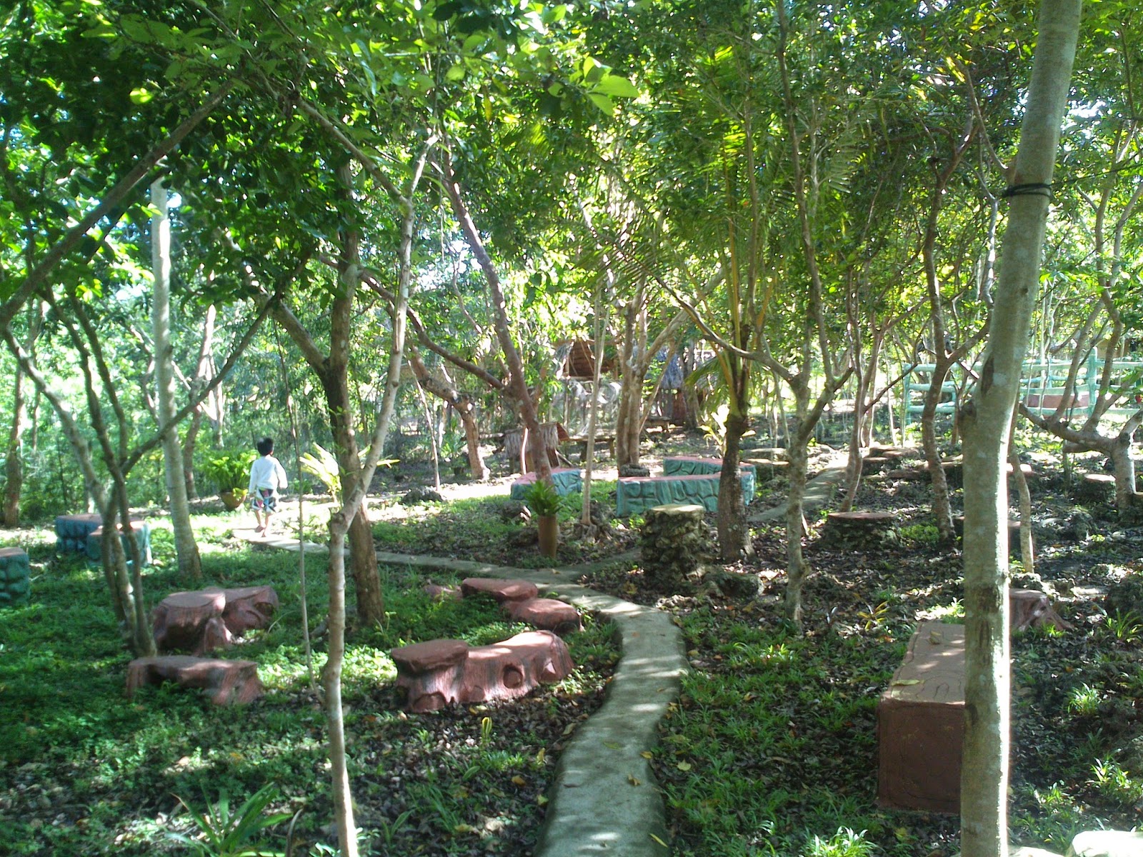 Review: Bohol Coco Farm, Panglao, Bohol | Indie Escape