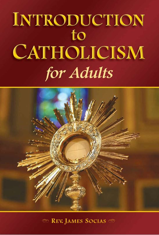 Book Reviews and More: Introduction to Catholicism for Adults - Rev ...