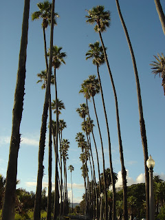The Science Salon: Palm trees threatened by invasive pest