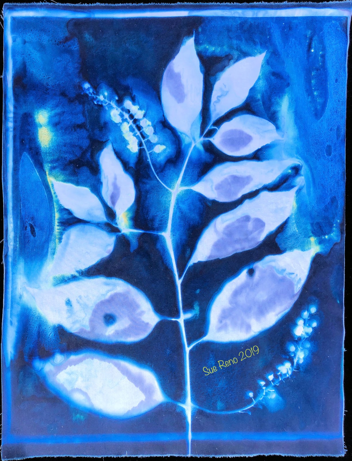 Sue Reno Studio: Experiments in wet cyanotype - part 44