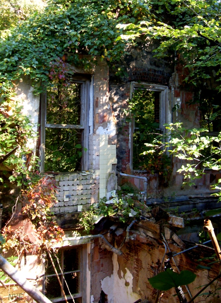 nyc edges: The Lost Colonies of Staten Island pt1; The Farm Colony