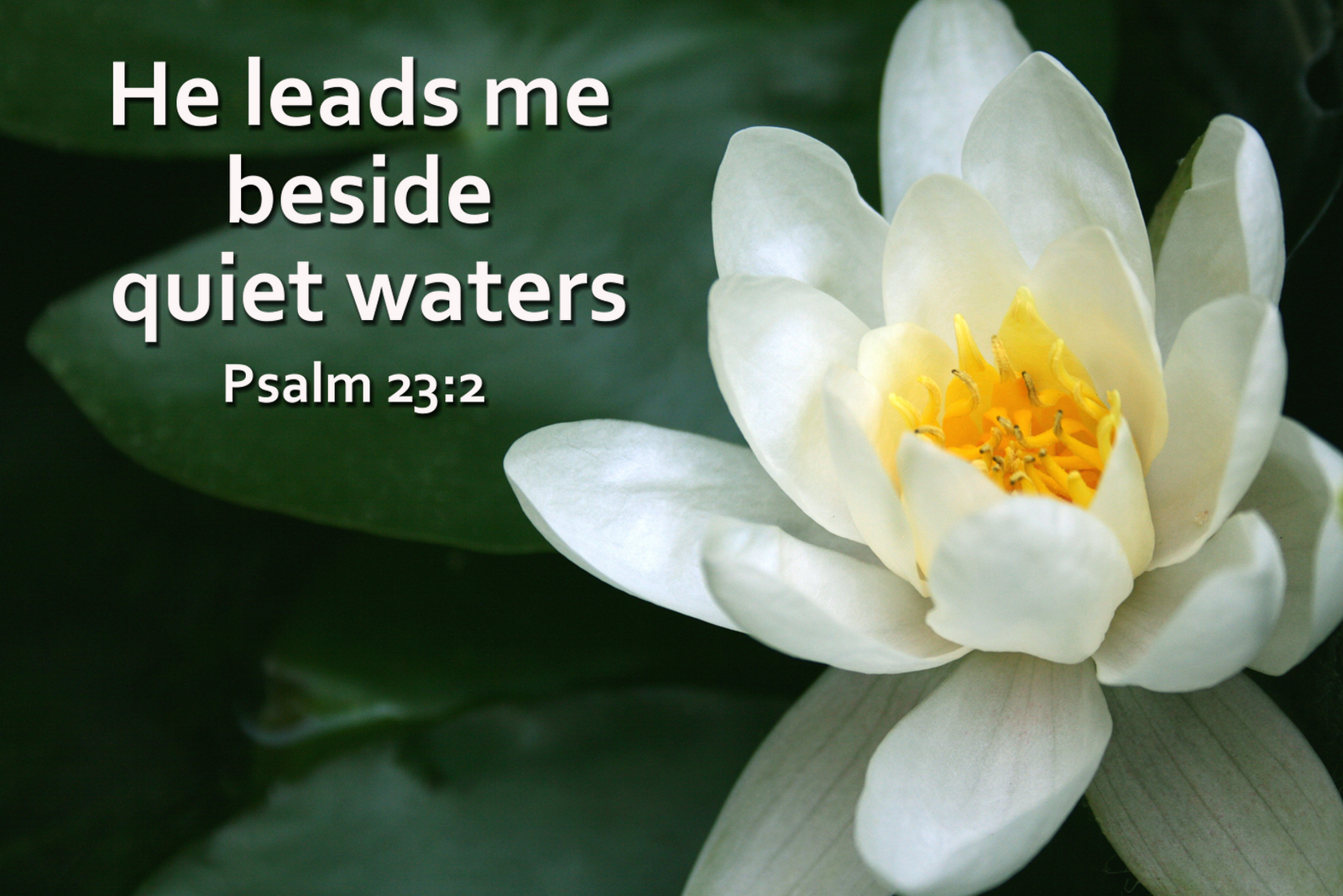 Psalm 23