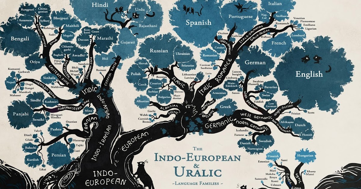 Indoeuropean Language Tree - il nostro secondo progetto Erasmus+