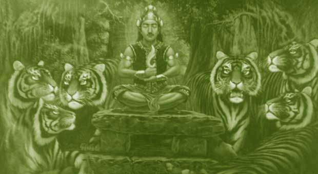 Cindaku dan Legenda Manusia Harimau yang Masih Dipercaya oleh ...