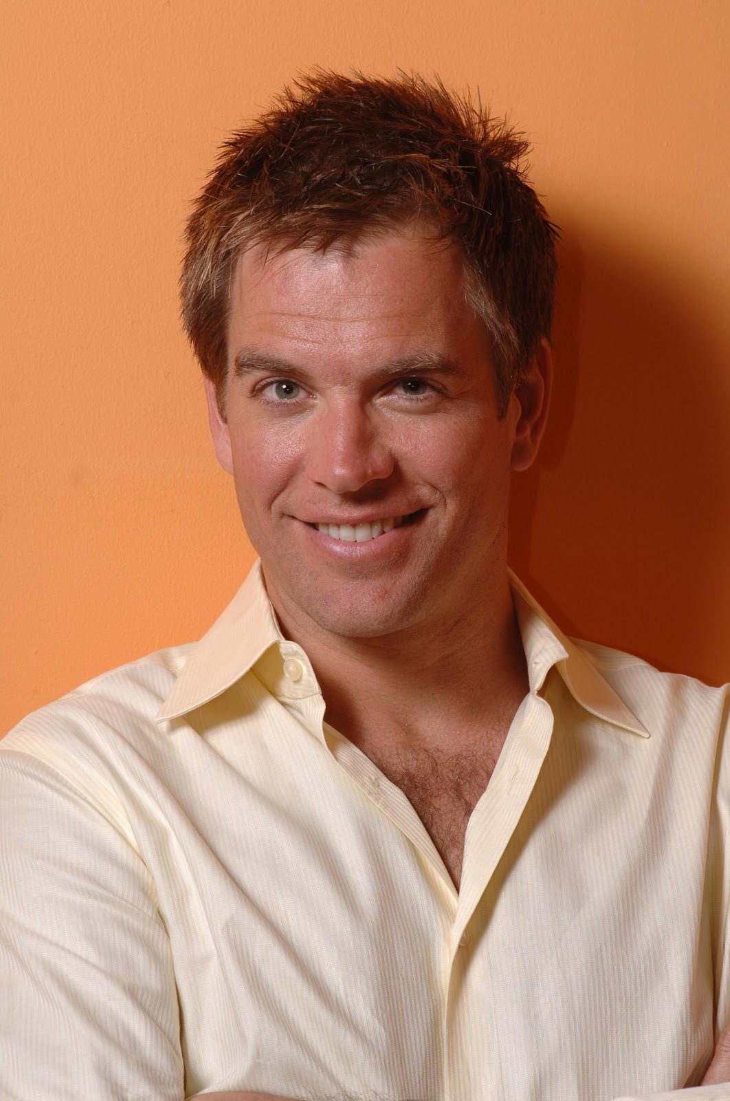 Michael Weatherly Photos | Tv Series Posters and Cast